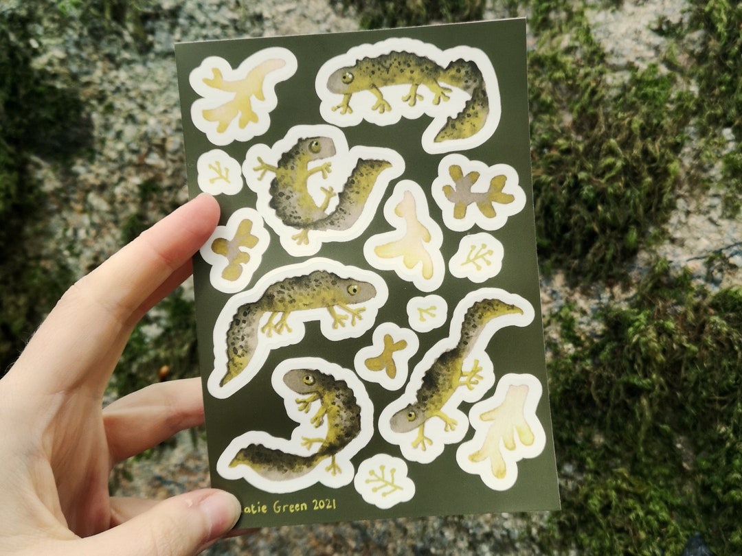 Stickers Newts - Etsy