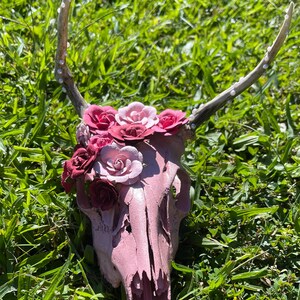 Rose Gold Skull real - Etsy