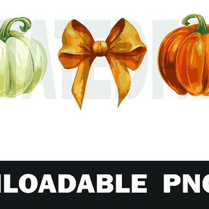 Fall Pumpkin Clipart PNG Autumn Digital Download Art Orange & Cream ...