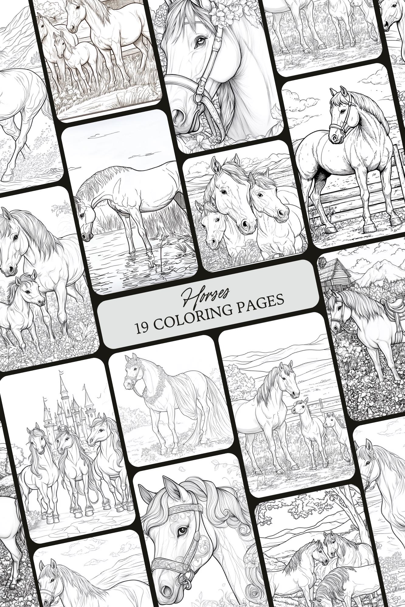 Horses / Coloring Book / 19 Printable Pages - Etsy