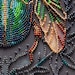 Bead Embroidery Kit Emerald Beetle, Insect Embroidery, DIY Beaded Bug ...