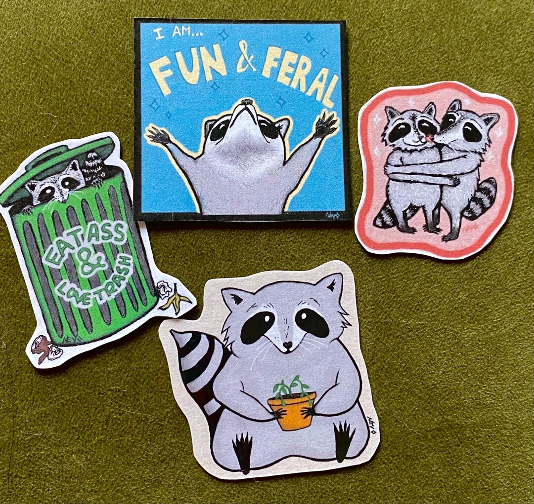 Raccoon Sticker Pack - Etsy