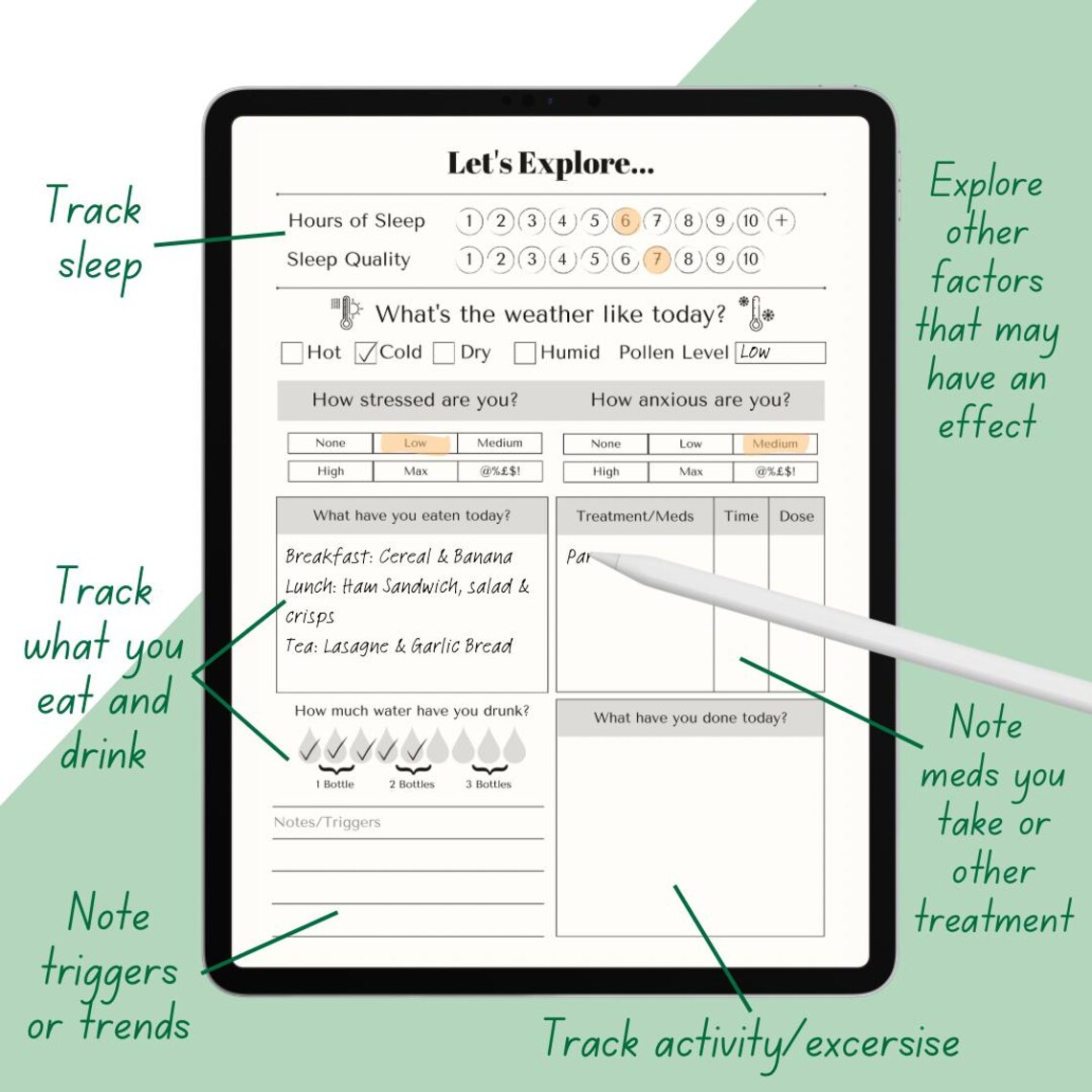 Daily Pain Dairy and Symptom Tracker - Etsy