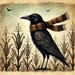 Primitive Cornfield Crow - Clip Art Bundle, Digital Download, Digital ...