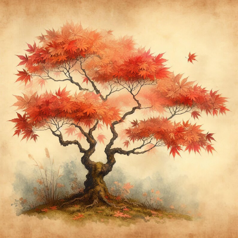 Ancient Japanese Maple Tree - Autumn, Fall, Cherry Blossom, Clip Art ...