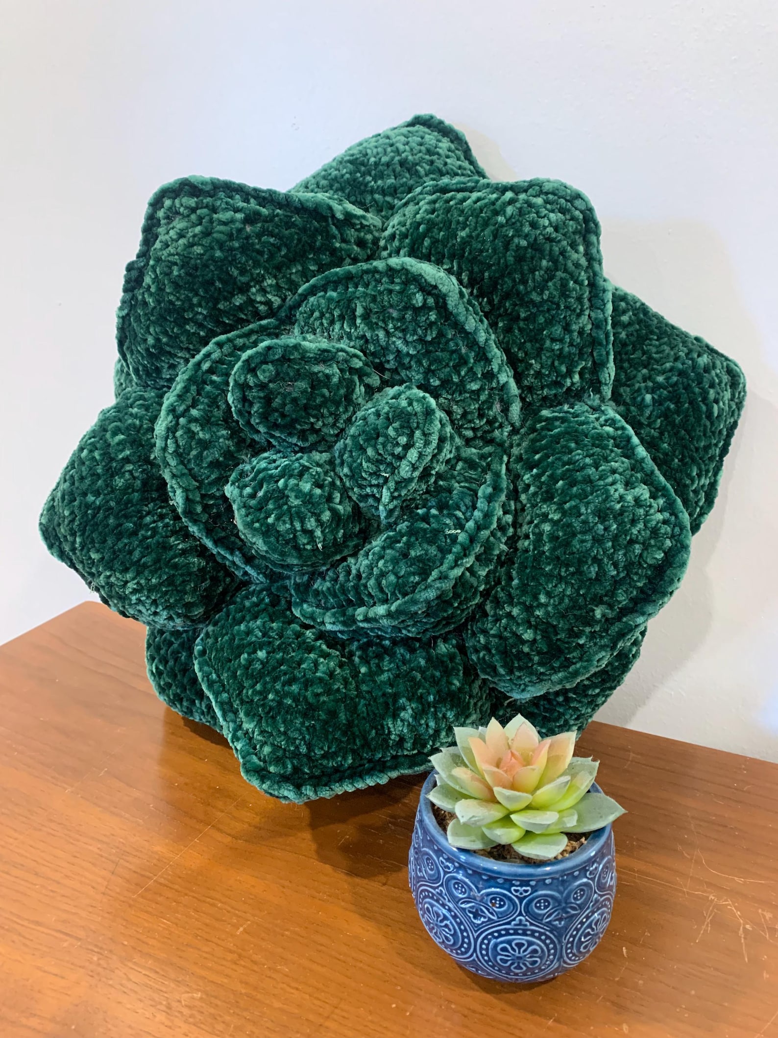 Easy Crochet Succulent Pillow Pattern for Beginners - Etsy