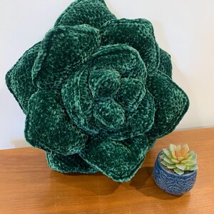 Easy Crochet Succulent Pillow Pattern for Beginners - Etsy