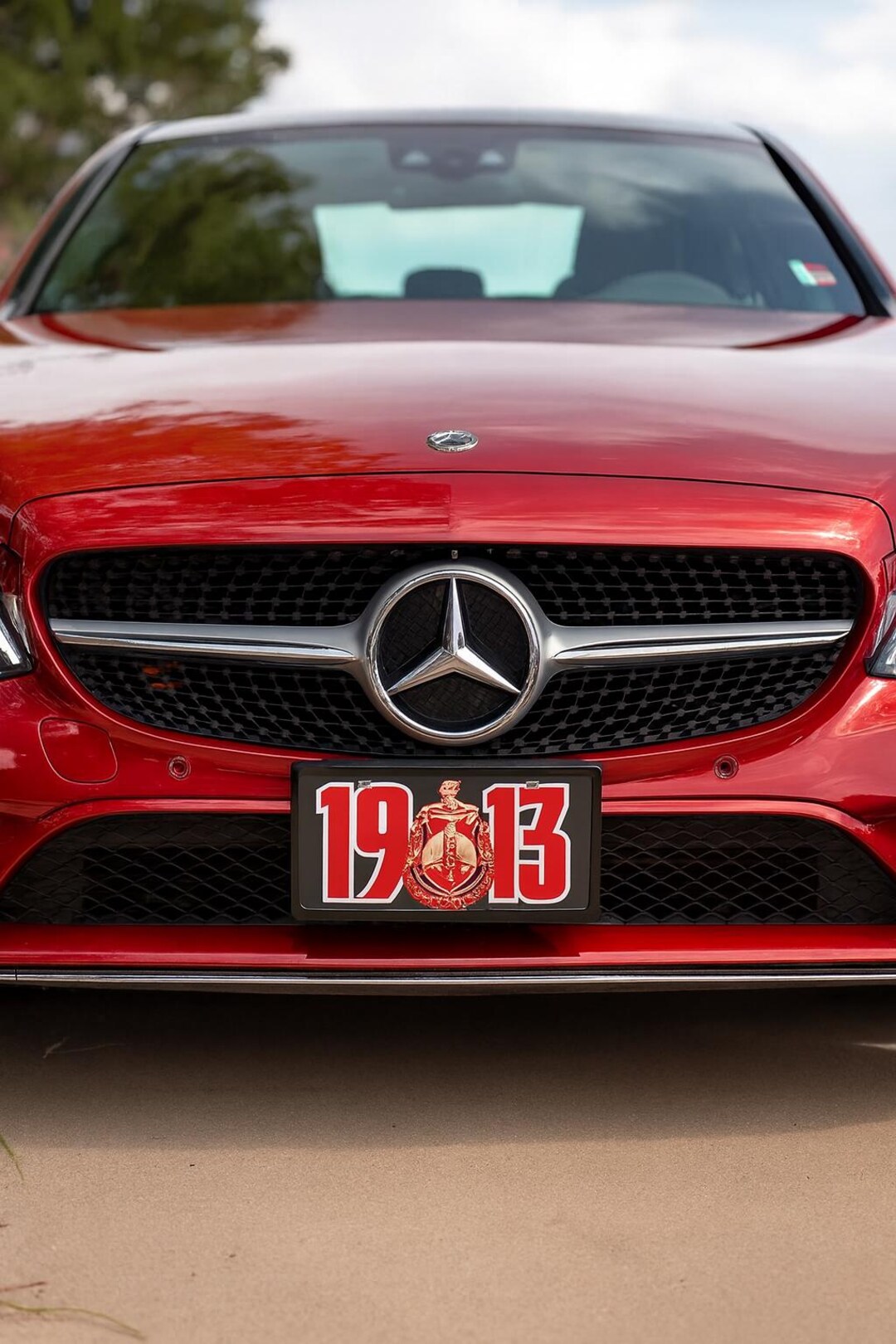 Delta Sigma Theta 1913 License Plate | DST Sorority Car Tag | Greek ...
