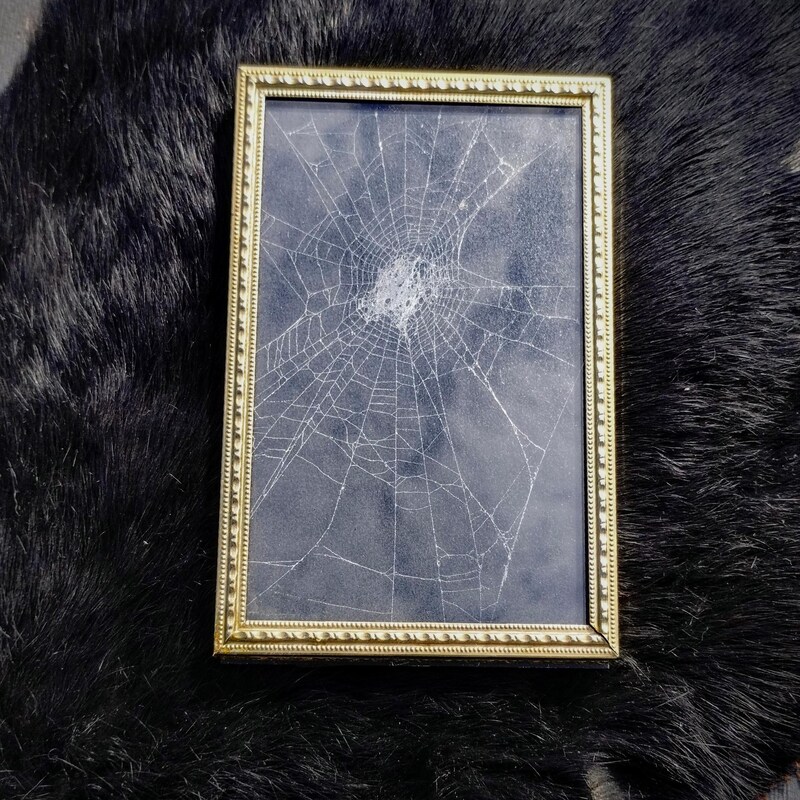 Framed Spider Web - Etsy