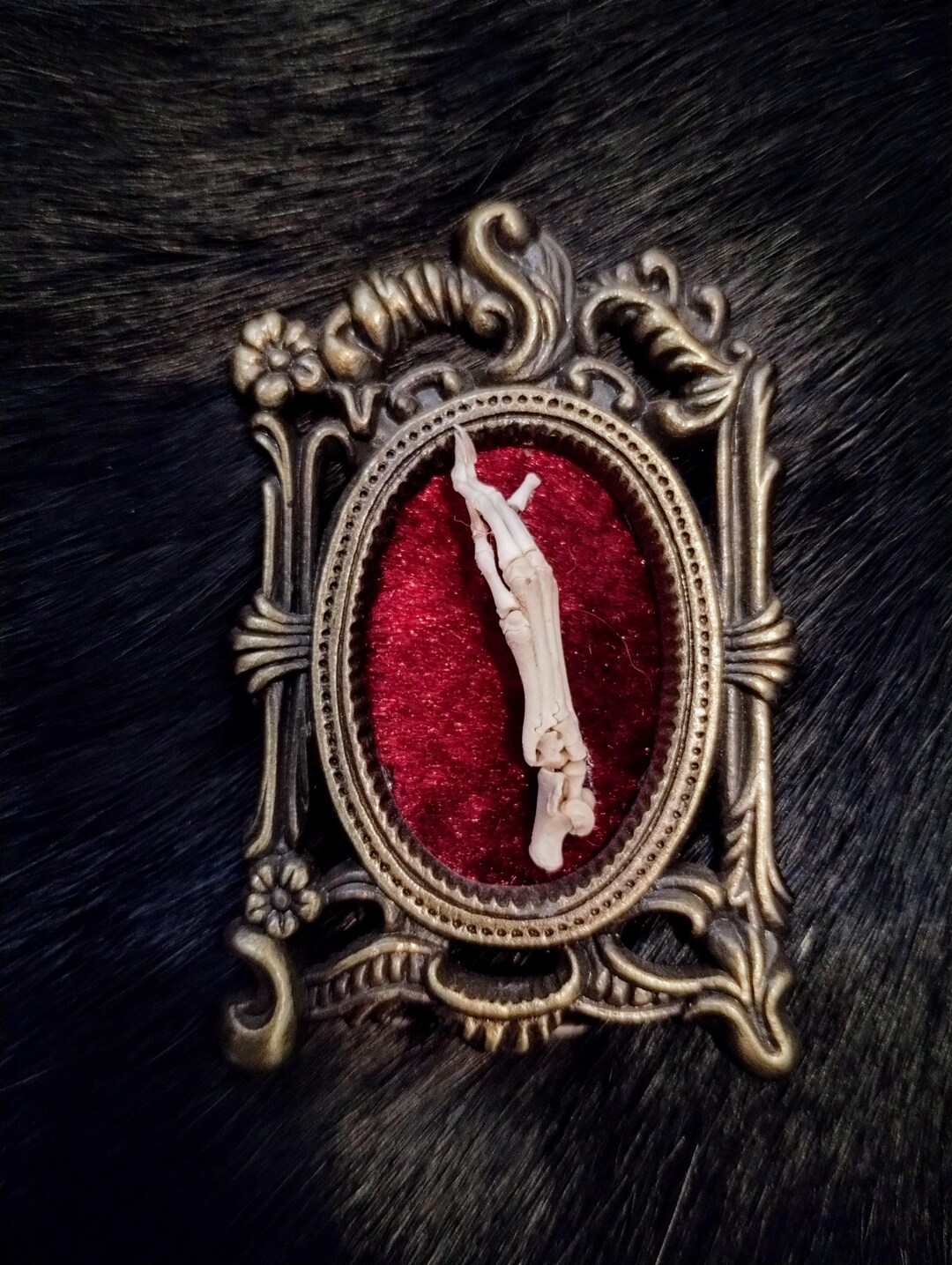 Framed Rat Foot - Etsy