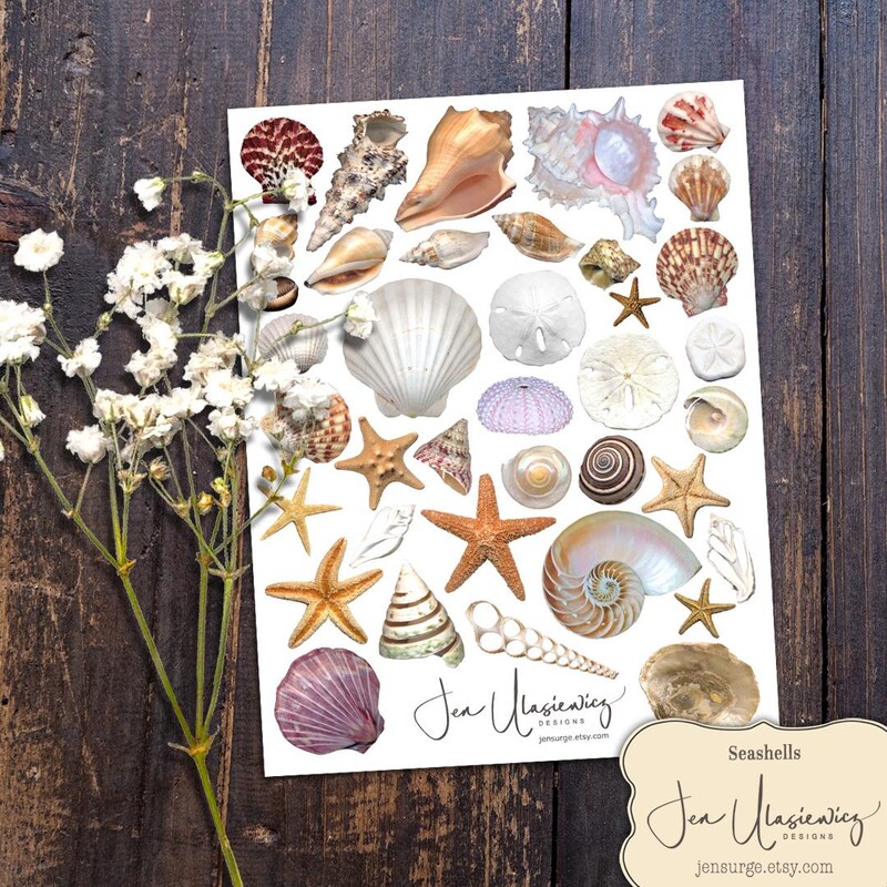 Seashell Journal - Etsy