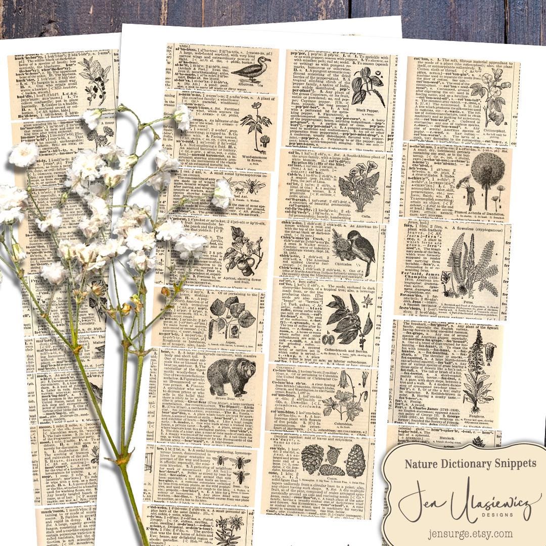 Vintage Nature Dictionary Snippets: Collage Ephemera (PNG & PDF) - Etsy