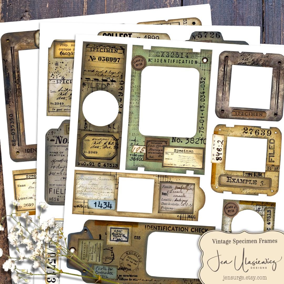 Vintage Specimen Frames Digital Collage Sheet for Crafts / Junk Journal ...