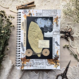 Vintage Specimen Labels Digital Collage Sheet for Crafts / Junk Journal ...