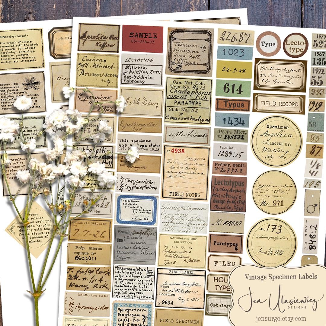 Vintage Specimen Labels Digital Collage Sheet for Crafts / Junk Journal ...