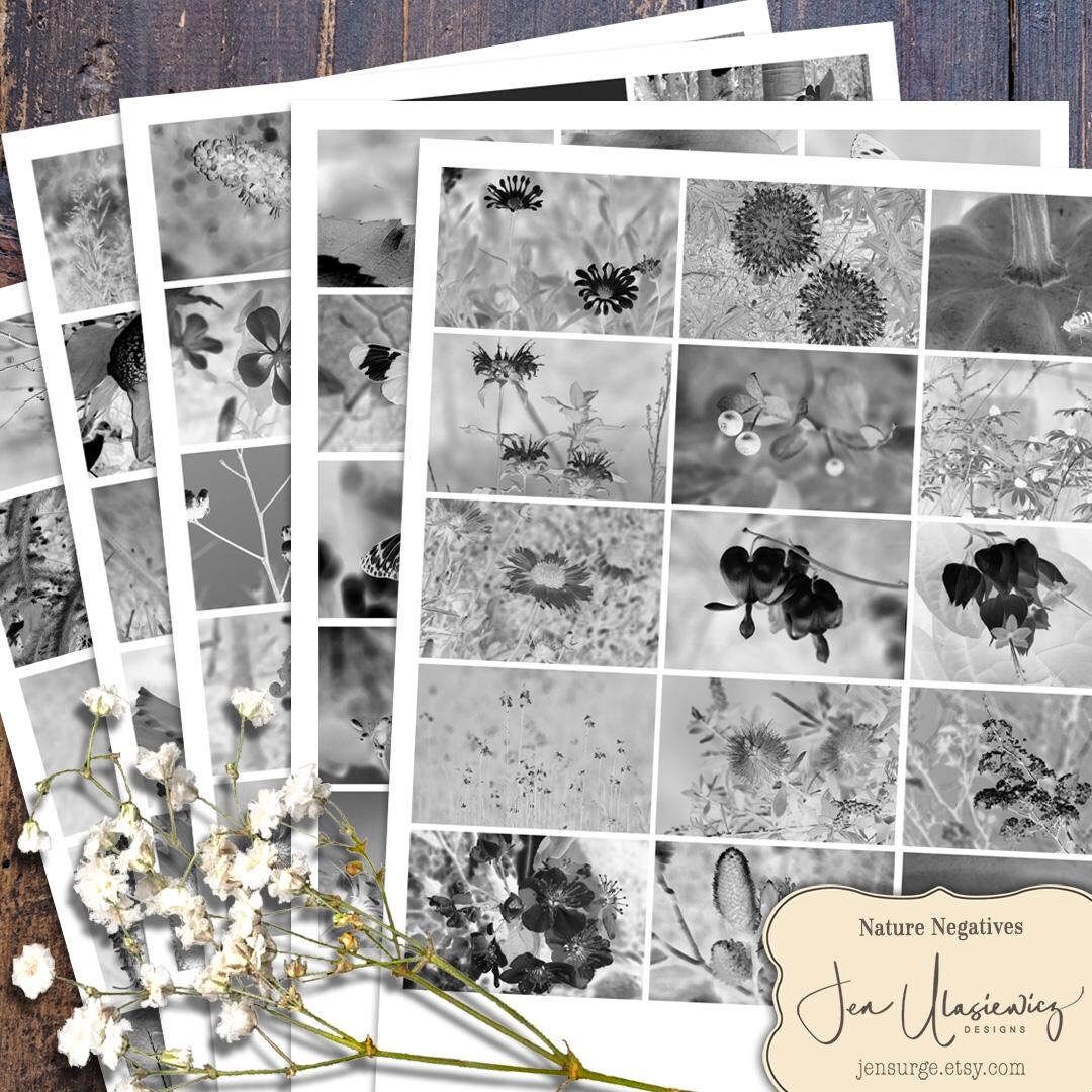 Nature Negatives Digital Collage Sheet: Junk Journal, Scrapbook ...