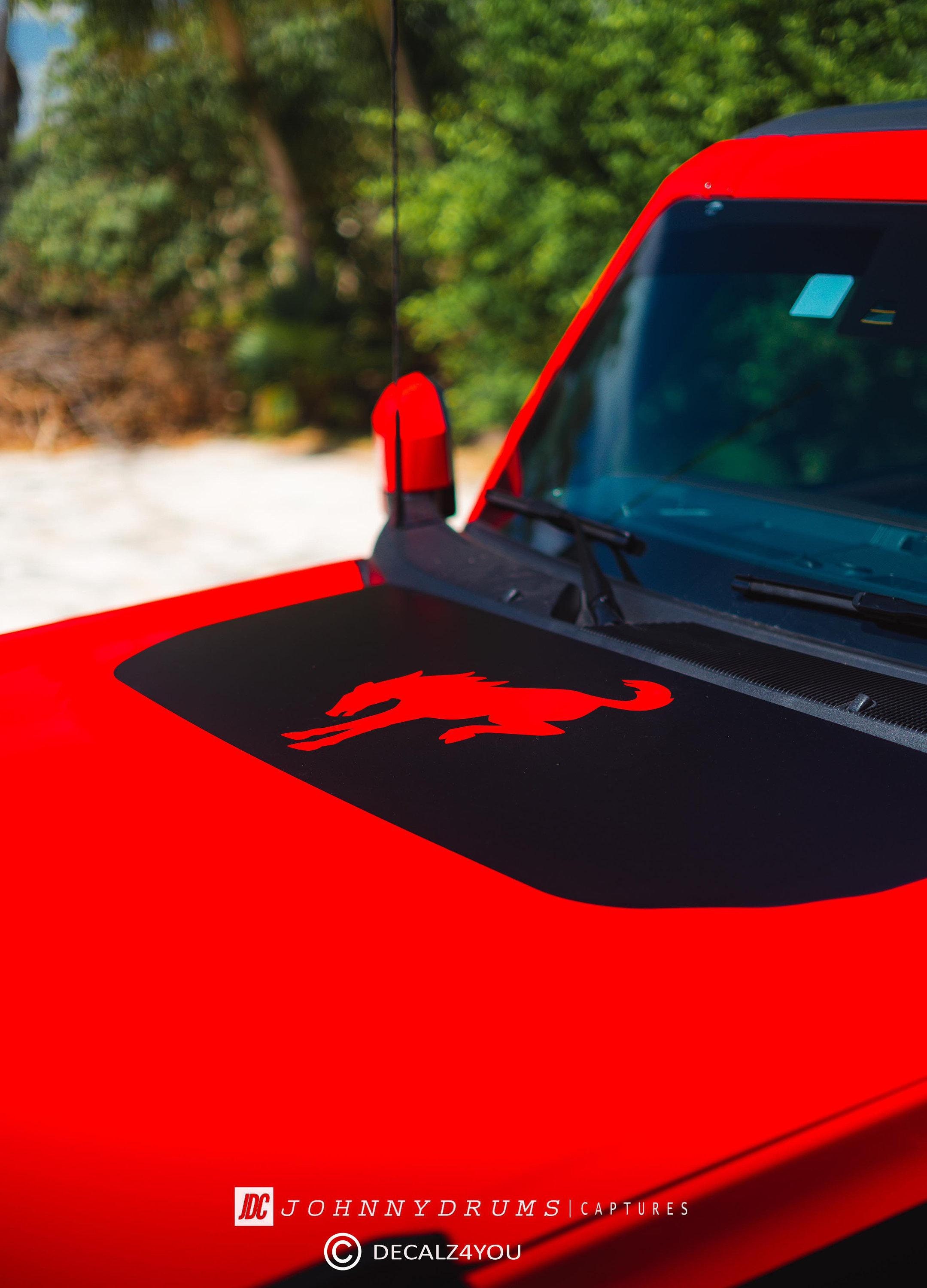 Bronco Hood Bump Decal Graphic Made to Fit 2021 to Current NO Trim ...