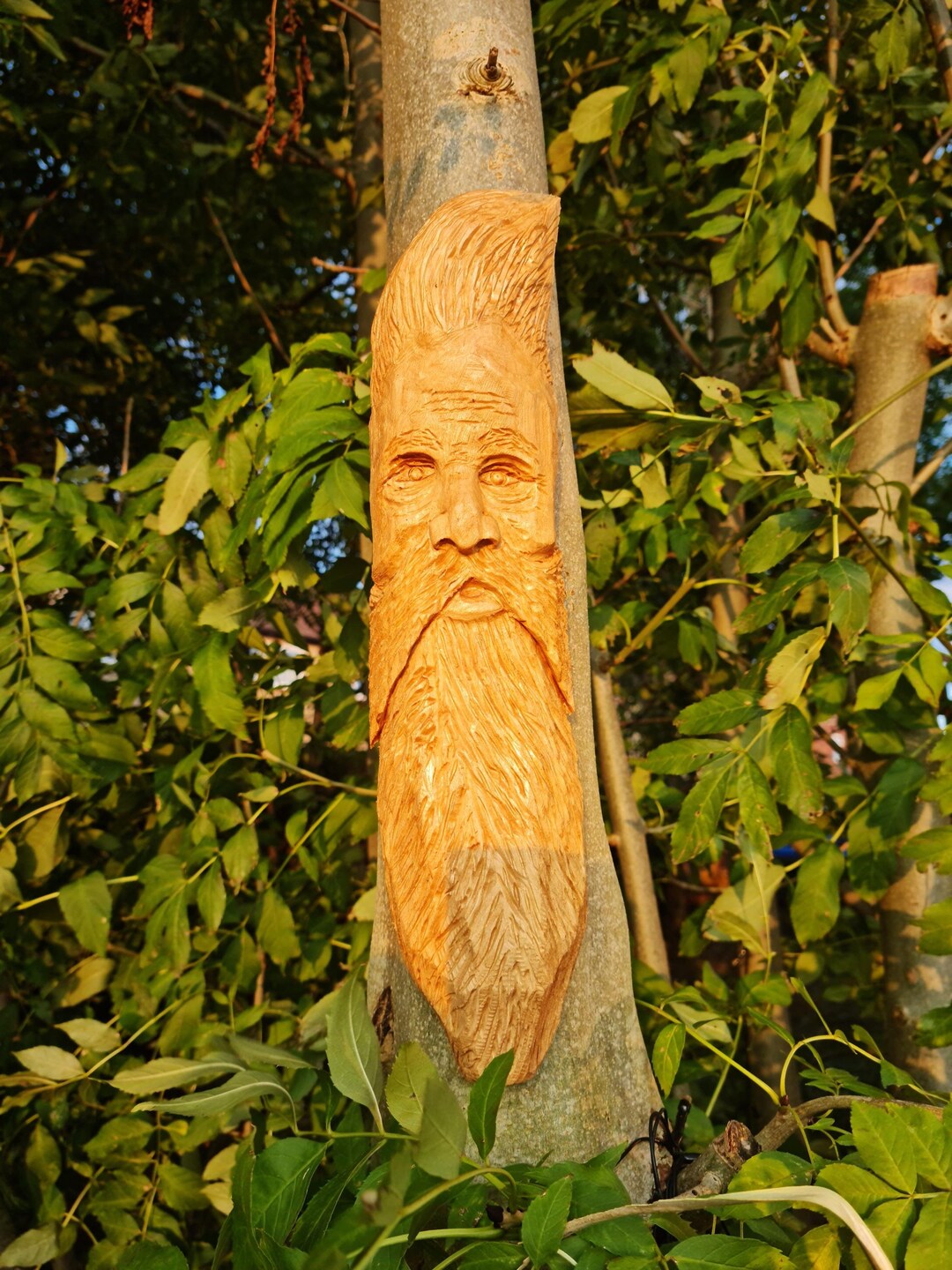 Chainsaw and Hand Tool Ash Wood Rustic Carving of a Green Man Wood ...