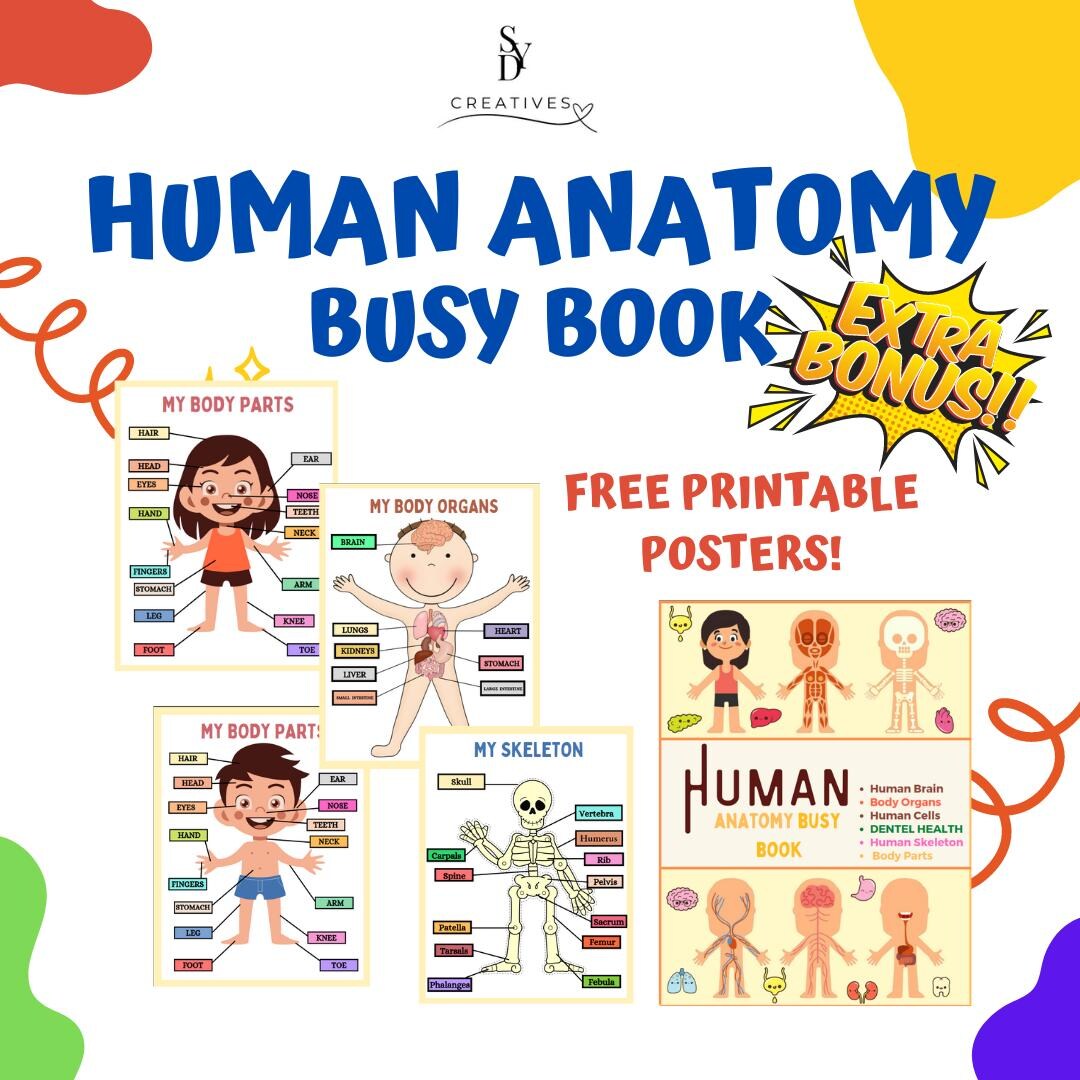 Human Anatomy BUNDLE Busy Book for Kids preschool Curriculum Homeschool ...