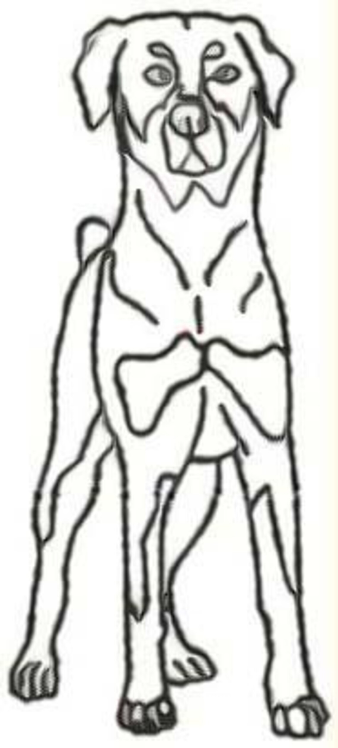 Dog Outlines Machine Embroidery | Dog Head Outline | Pet Outlines ...