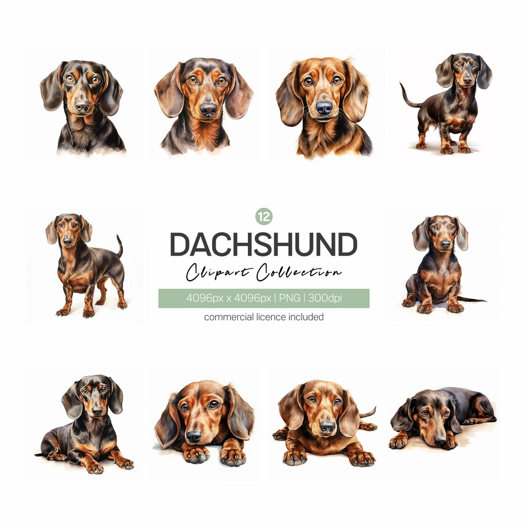 Dachshund Clipart Bundle, 12 High Quality PNG Files, Journal, Scrapbook ...