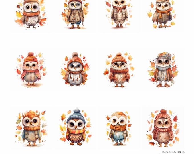 Autumn Owls Watercolor Clipart, Transparent PNG, Digital Download, Card ...