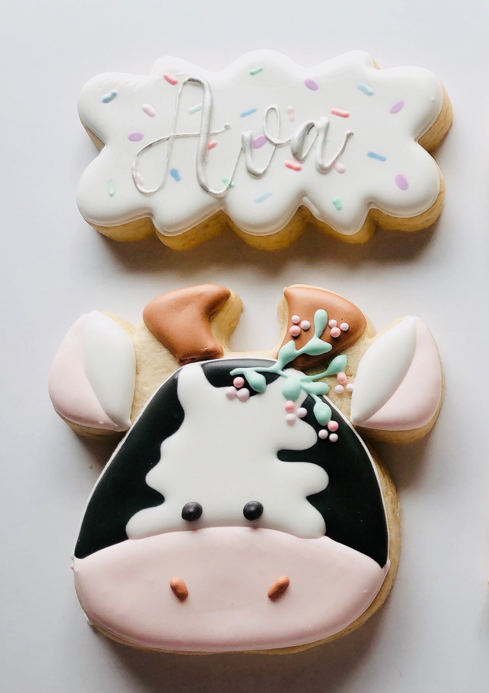 Farm Themed Birthday Cookies Dozen Large - Etsy