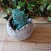 Concrete Hatching Dragon Cement Dragon Figurine Cement - Etsy