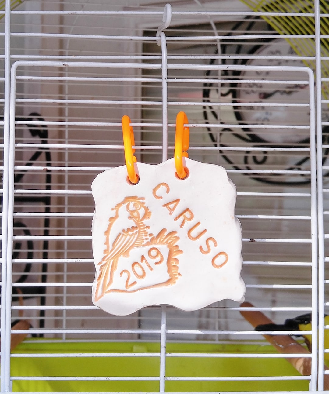 Personalized Parrot Cage Name Plate, Tags or Ornaments - Etsy