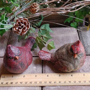 Cardinals, Choose Female or Male Concrete Cardinals, Concrete Birds ...