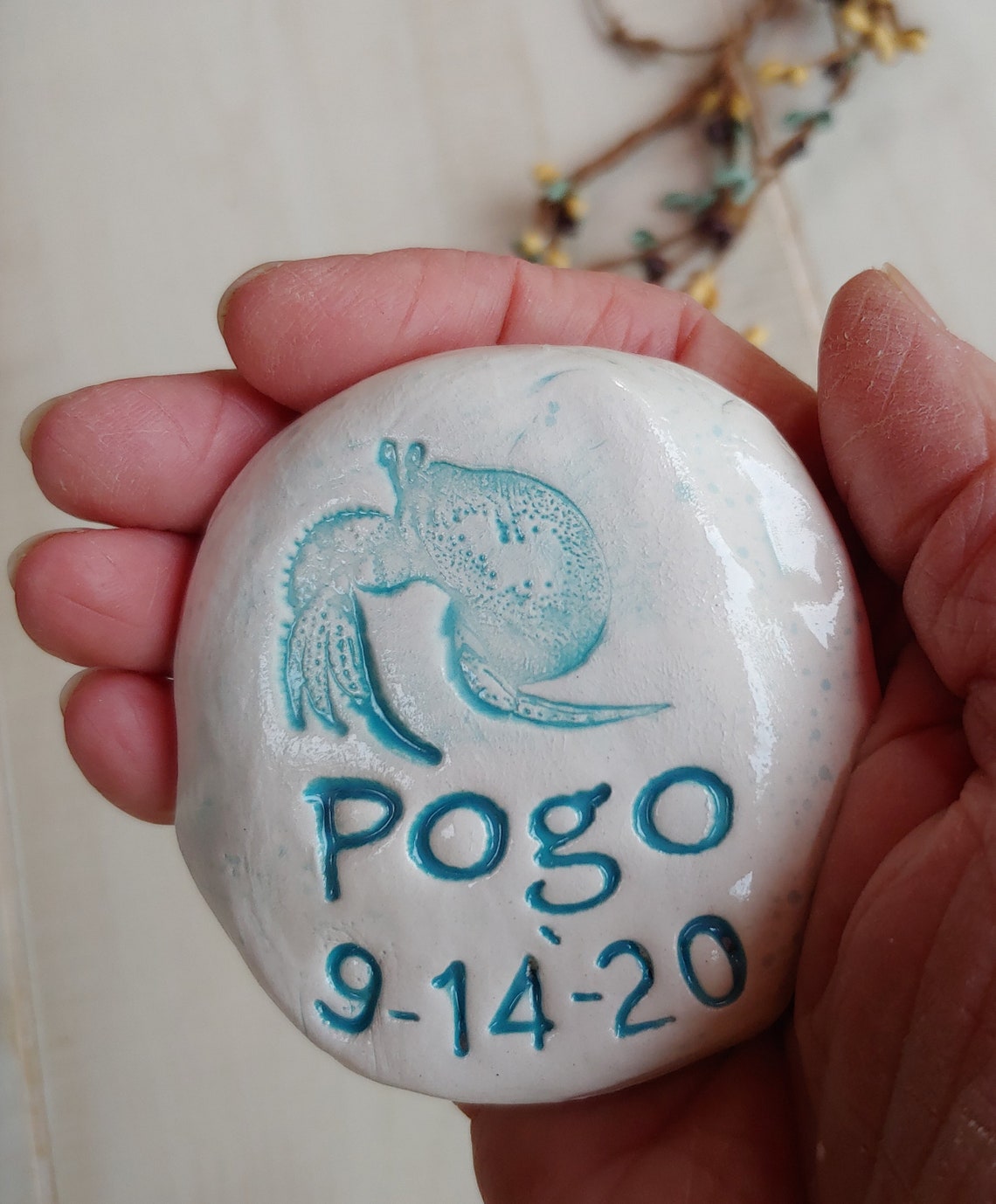 Hermit Crab Memorial Stone Personalized 2.5 to 3.5 Ships | Etsy