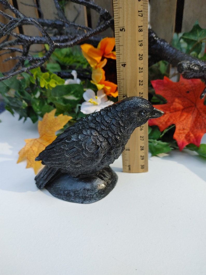 Concrete Raven on Rock, Black Crow, Cement Bird in Gift Box and is ...