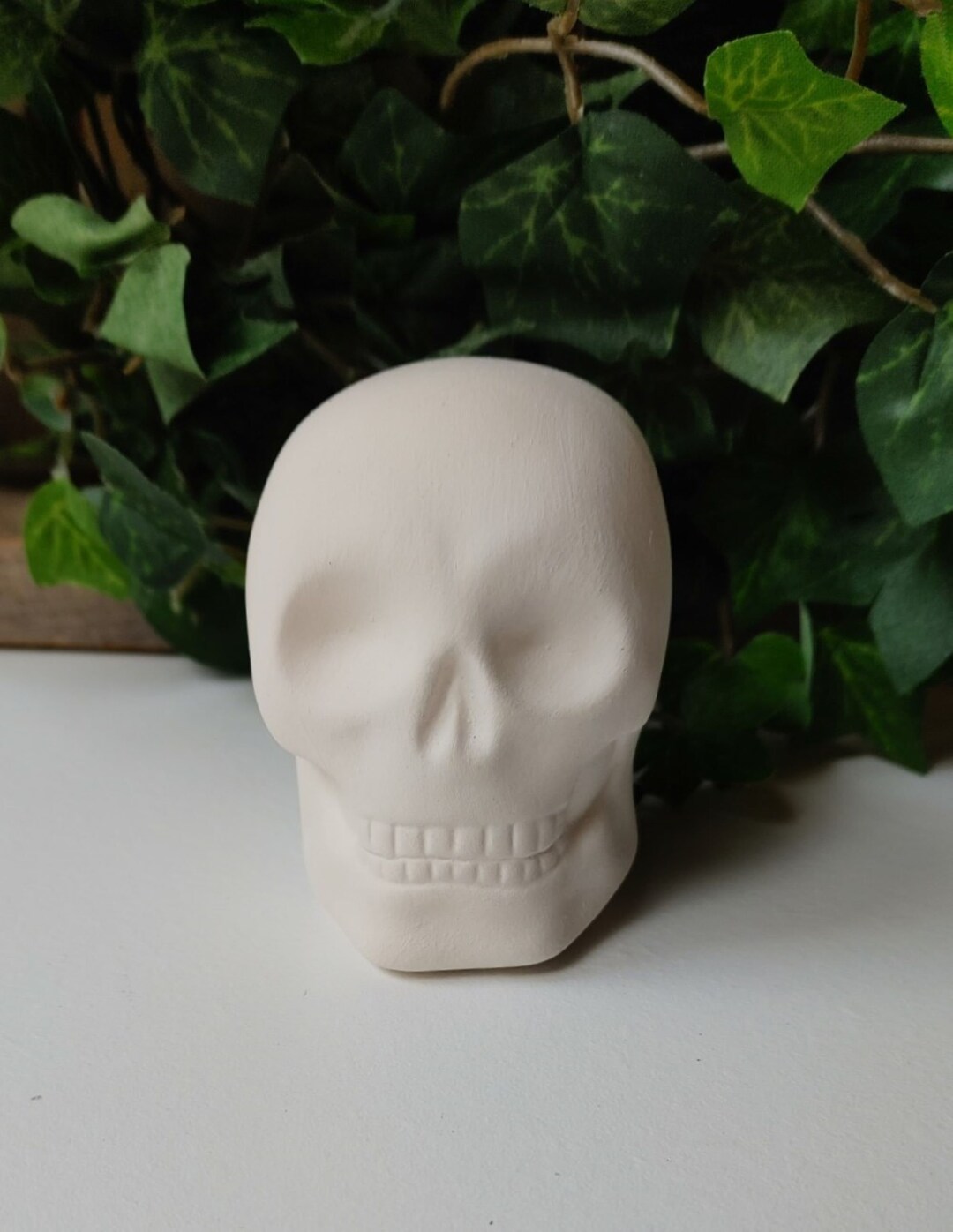 Ready to Paint Skull - Ceramic Bisque Ready to Paint - DIY Project ...