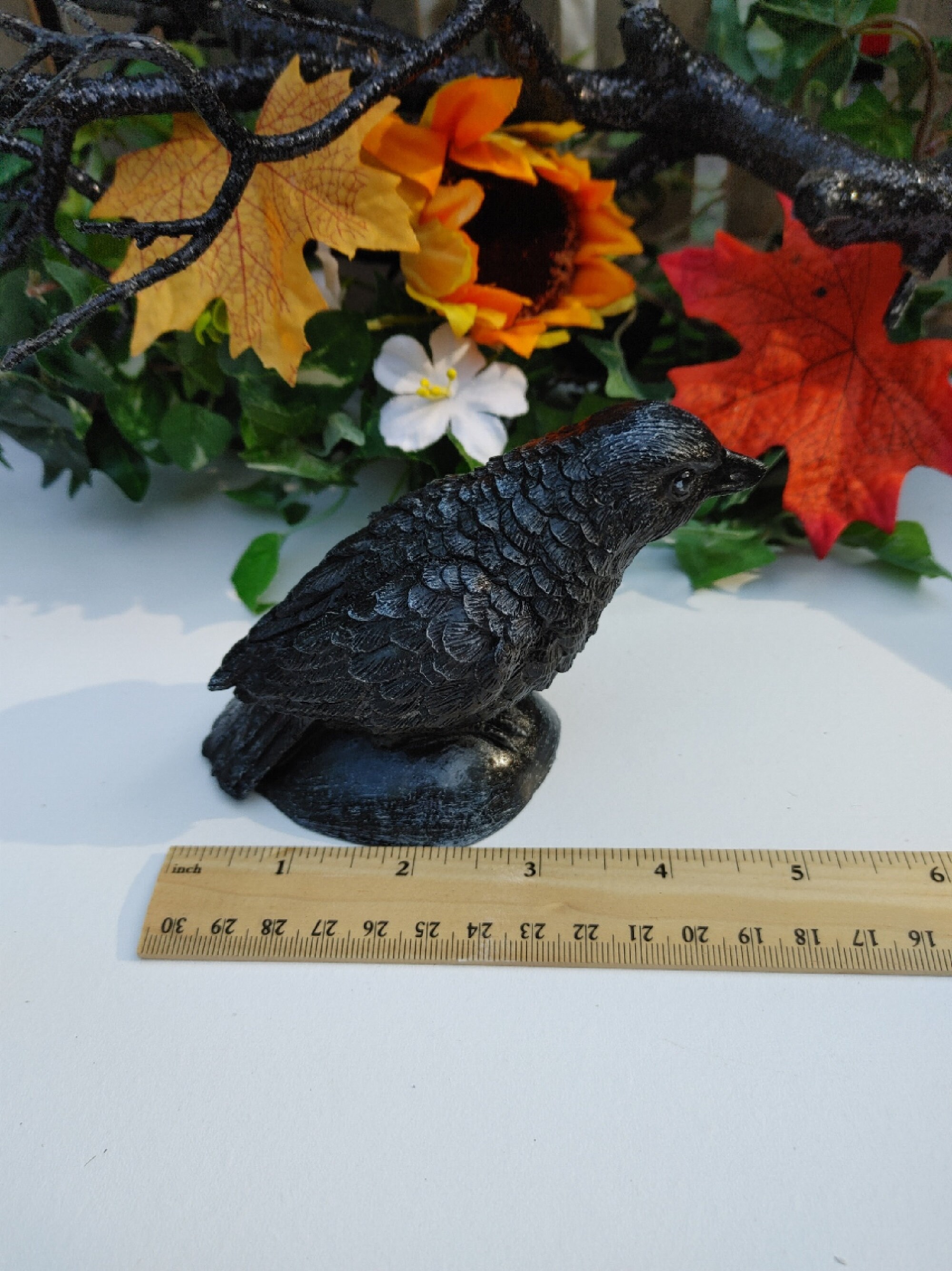 Concrete Raven on Rock, Black Crow, Cement Bird in Gift Box and is ...