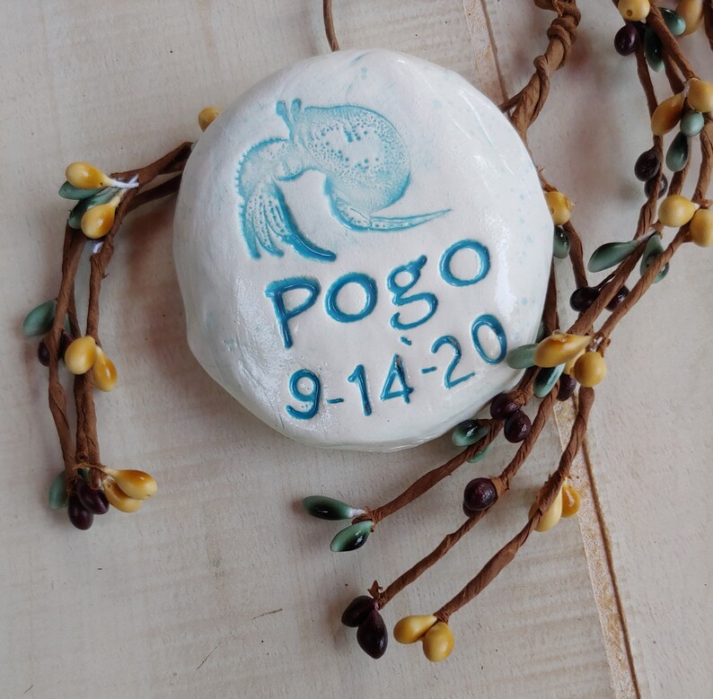 Hermit Crab Memorial Stone Personalized 2.5 to 3.5" - Etsy