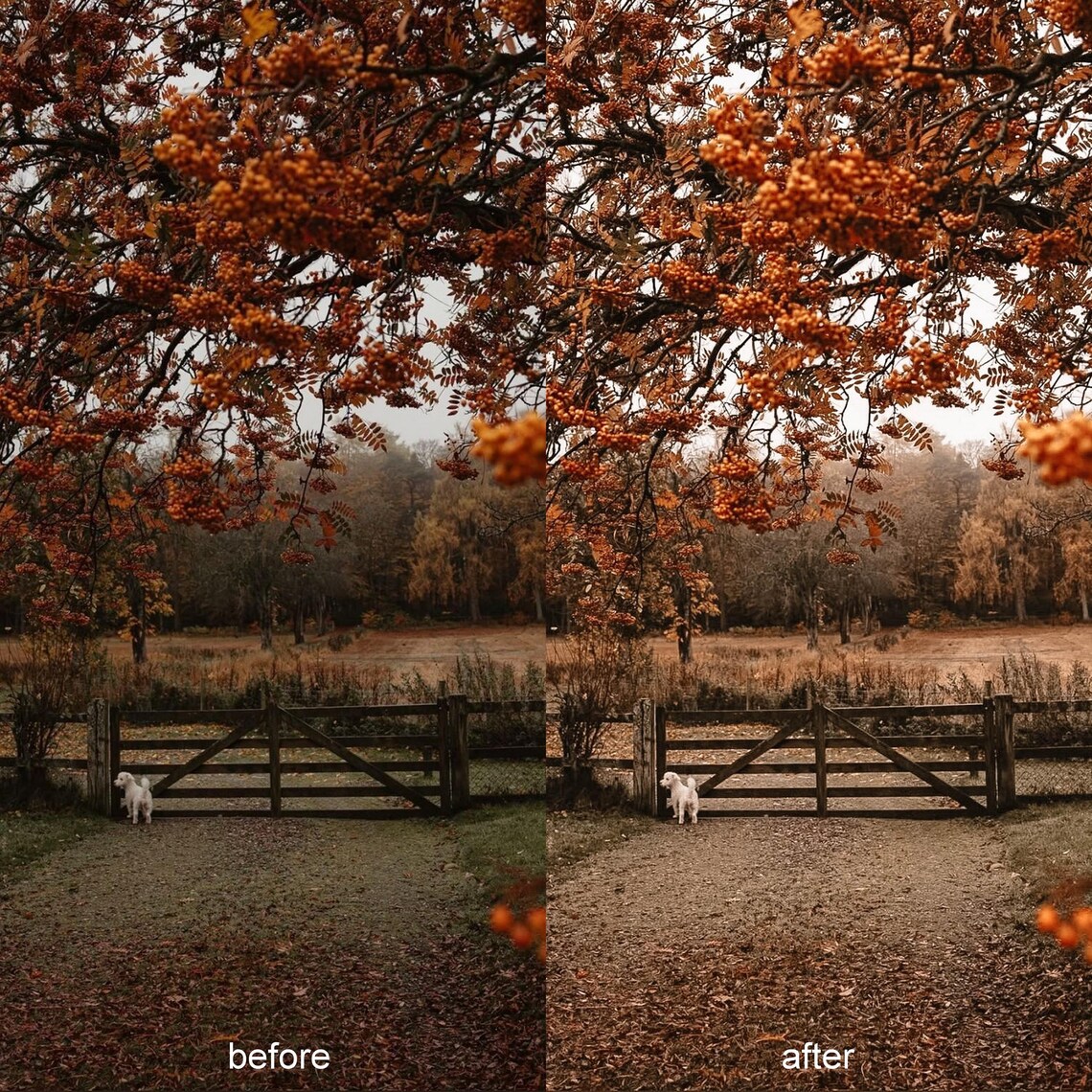 Fall Lightroom Presets, Moody Autumn Filters, Boho Warm Tones (mobile ...