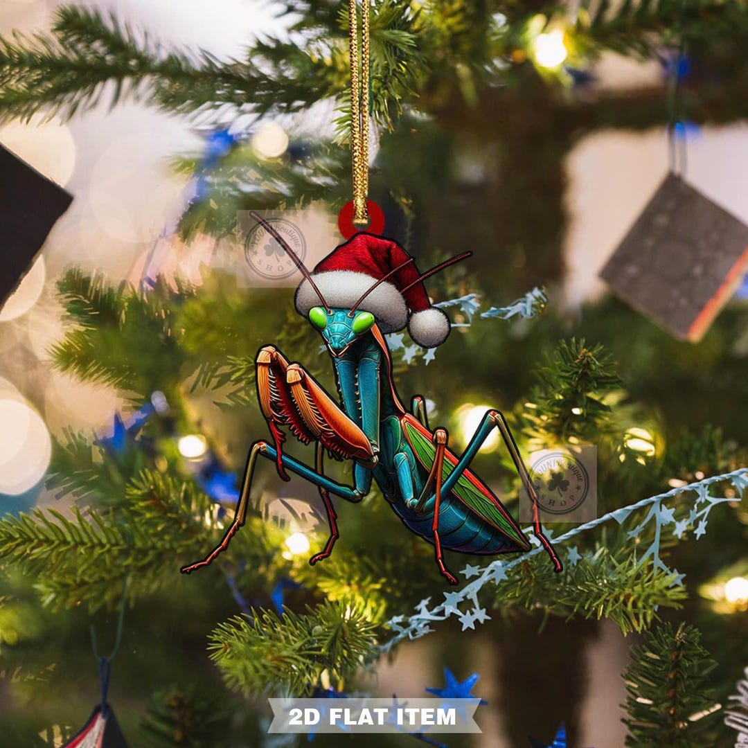 Praying Mantis 2D Flat Ornament, Christmas Gift, Mantis Lover Ornament ...