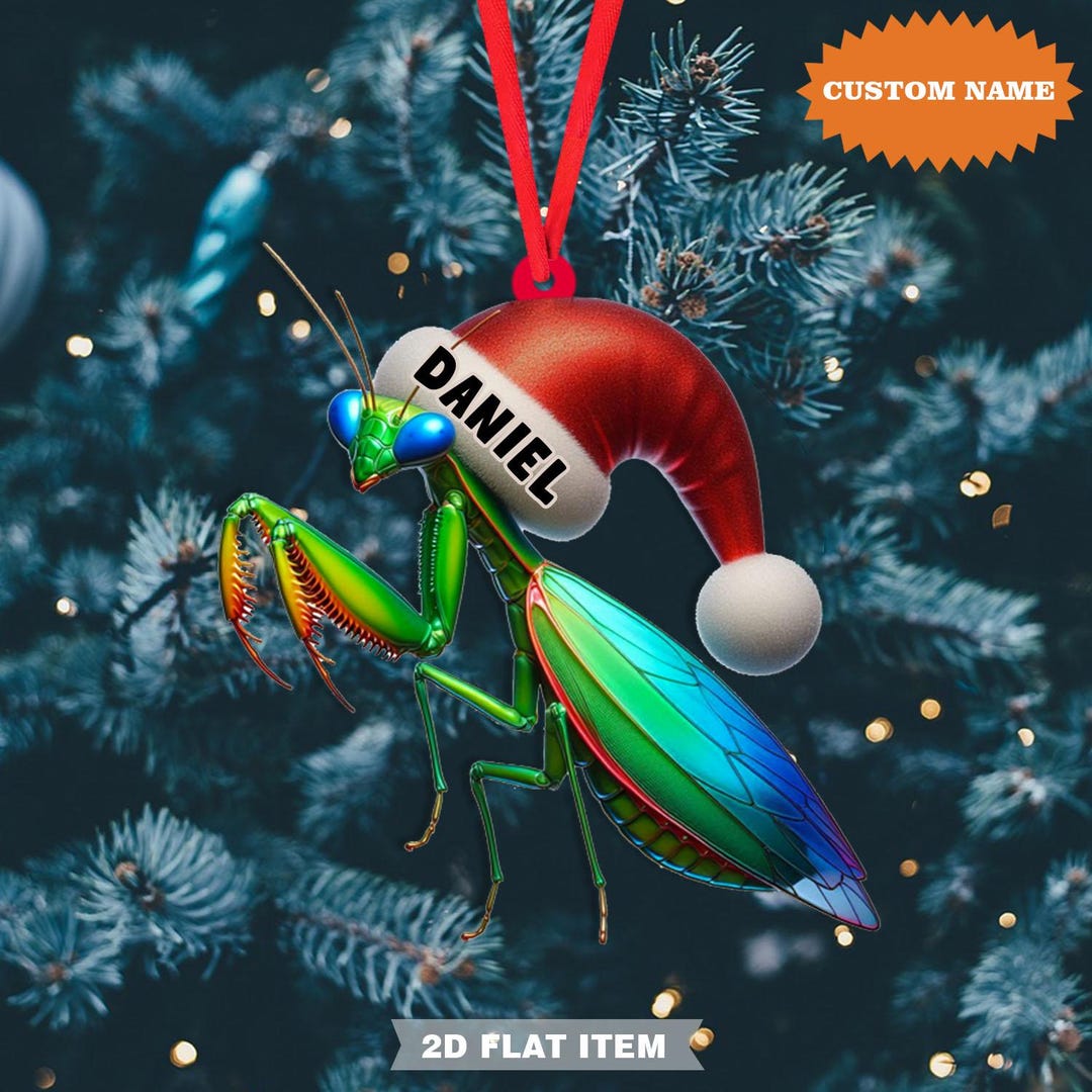 Personalized Praying Mantis Christmas Ornaments, Praying Mantis ...