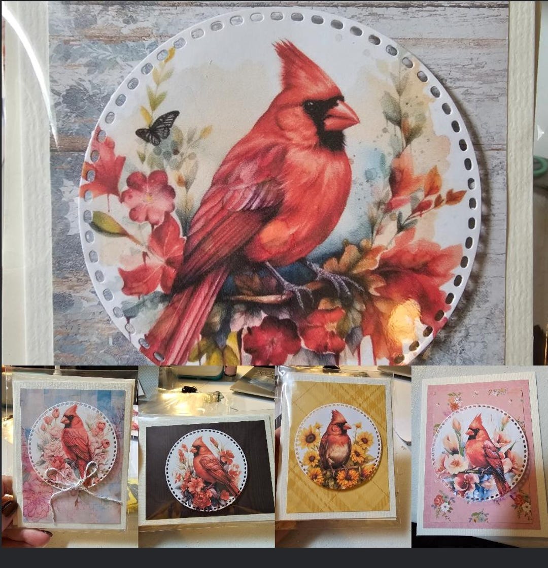 Cardinal Note Cards 5 Pack - Etsy