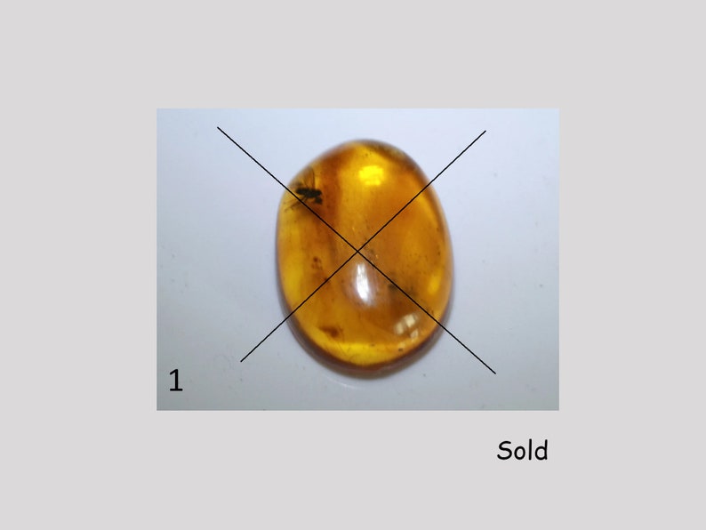 Gold Amber Ring With Insect Inclusion gold Gemstone Ring for - Etsy