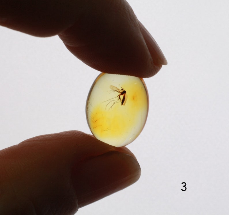 Gold Amber Ring With Insect Inclusion gold Gemstone Ring for - Etsy