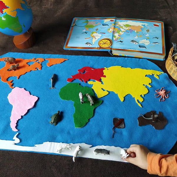 Felt World Map - Etsy
