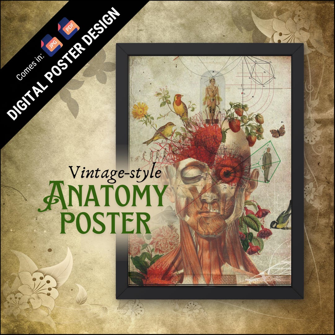Vintage Anatomy Poster Digital Art for Printing Commercial Use Instant ...