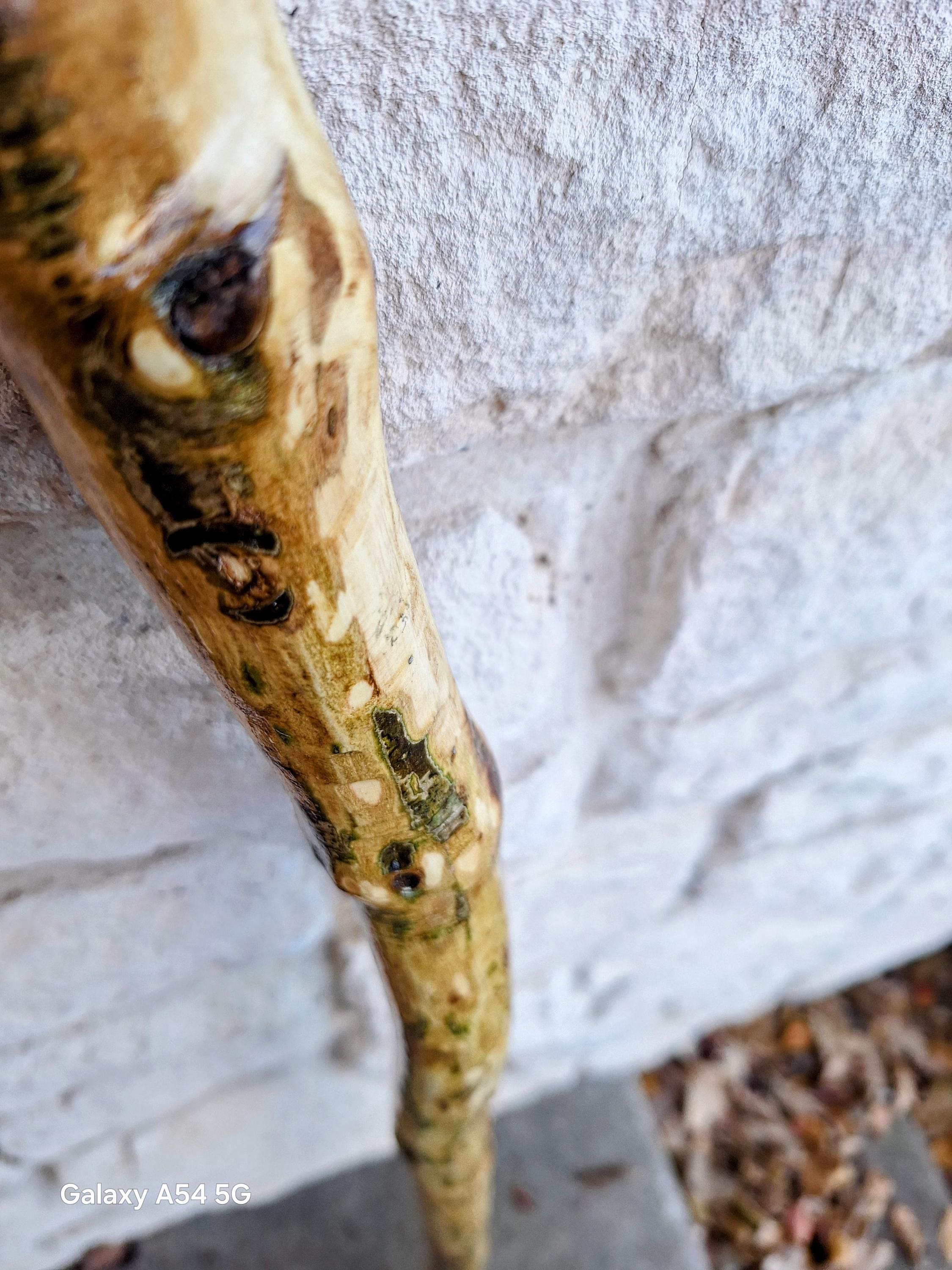 Grounded Walking Stick 110 for Earthing - Etsy