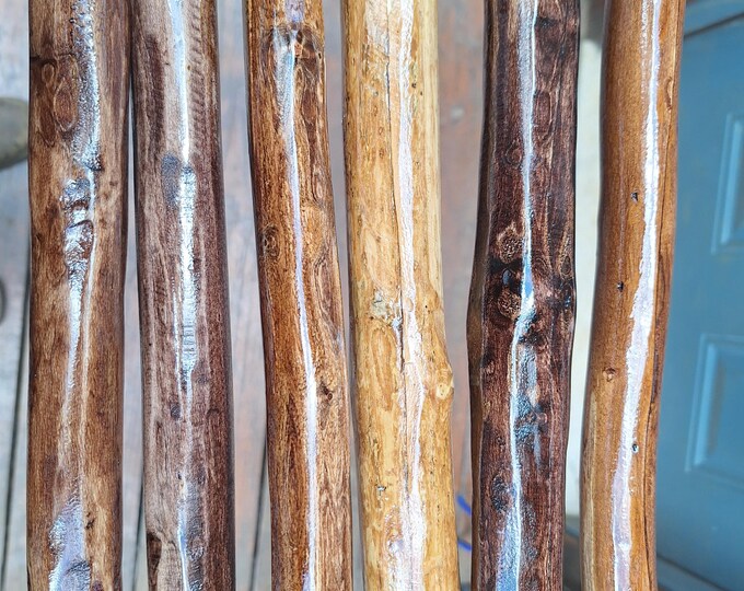 Grounded Walking Stick Order - Etsy