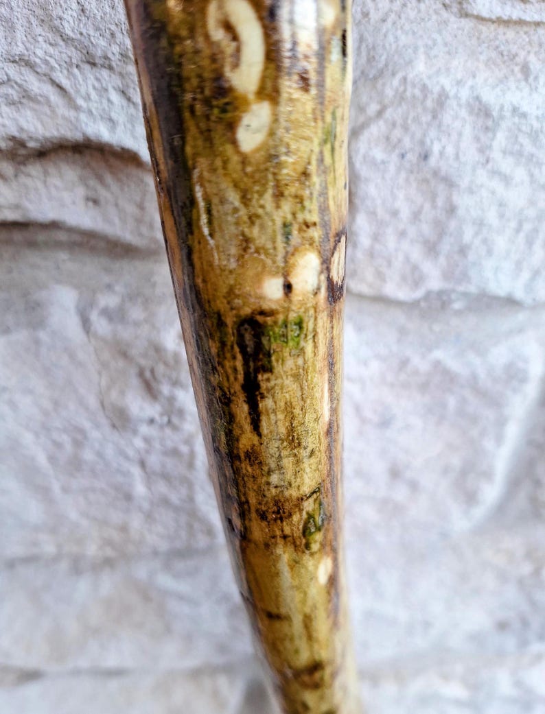 Grounded Walking Stick 110 for Earthing - Etsy