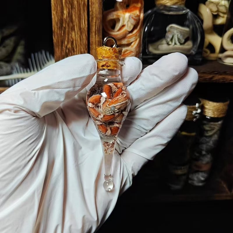 Snake Specimen in Bottle - Etsy