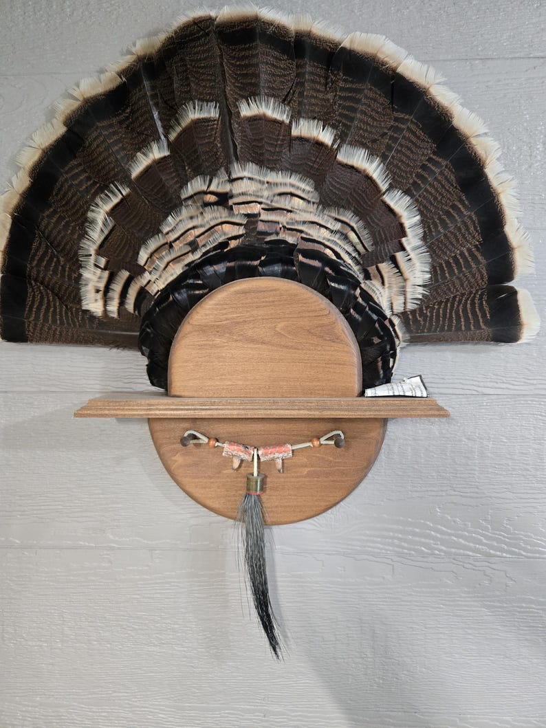 Turkey Fan Display Shelf - Etsy