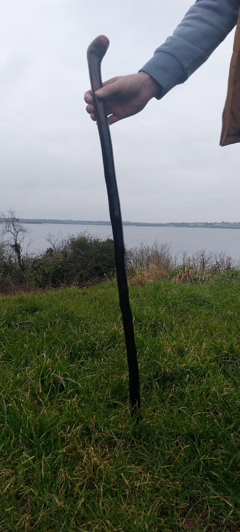 Irish Shillelagh Blackthorn Walking Stick - Etsy