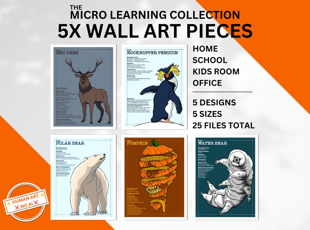Informative Micro Learning Wall Art Print Collection – NO AI, Modern ...